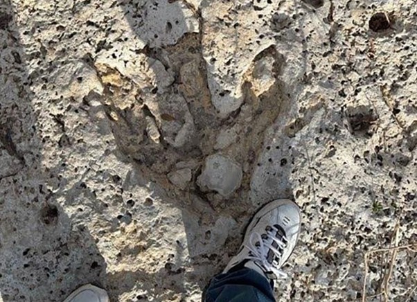 Carl Stover archivos - Ecuador 221