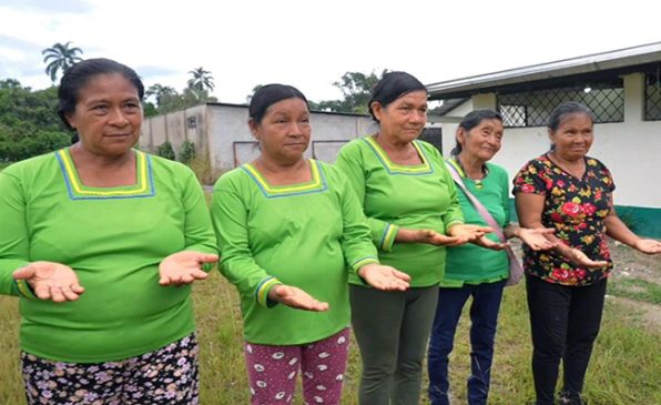 Ecuador reconoce a parteras y parteros tradicionales como profesionales ...
